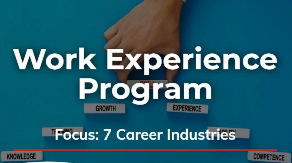 Work Experience Program Internship 2023 - Techsolink
